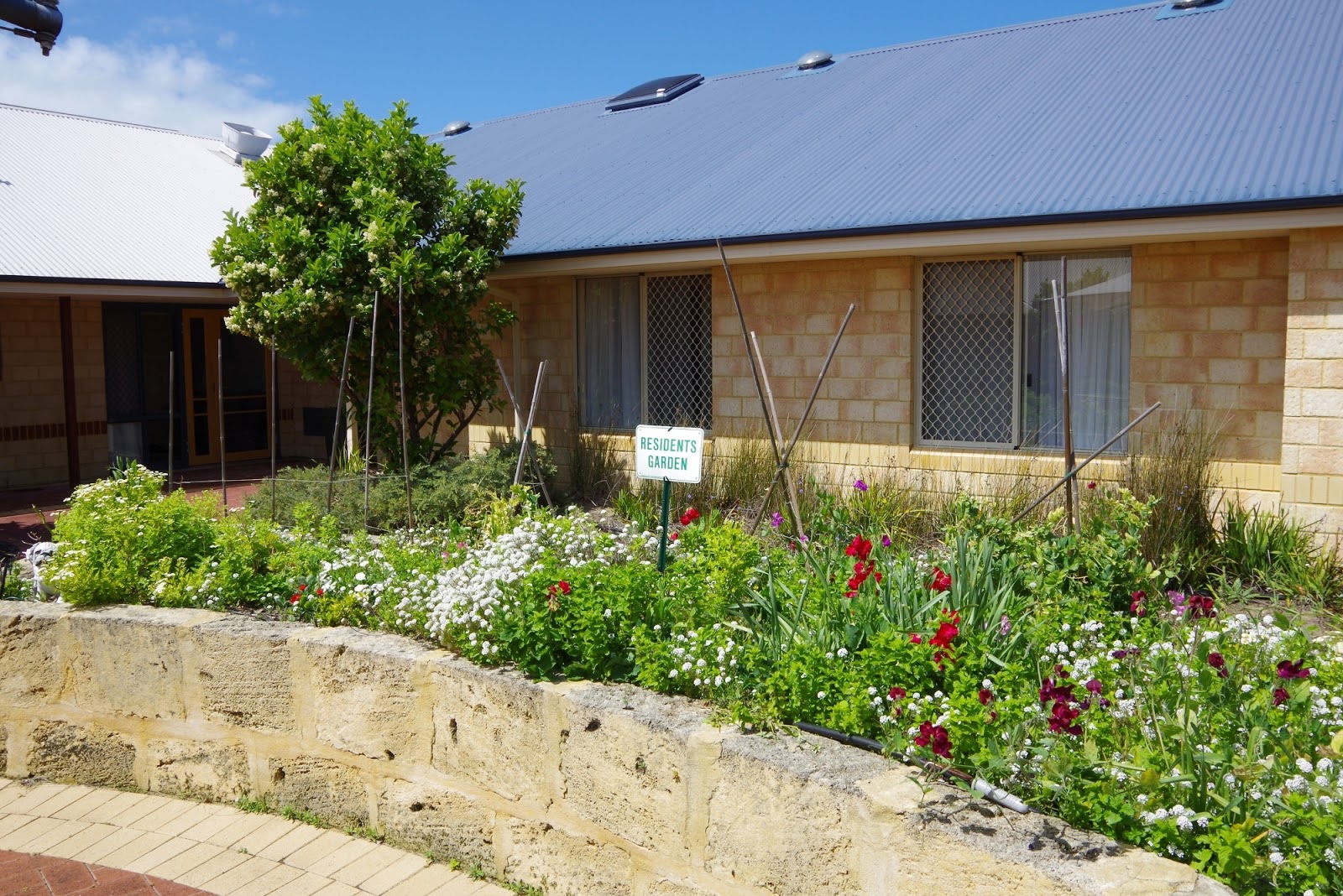 Brightwater - The Cove Care Facility - Aged Care Home in Dudley Park ...
