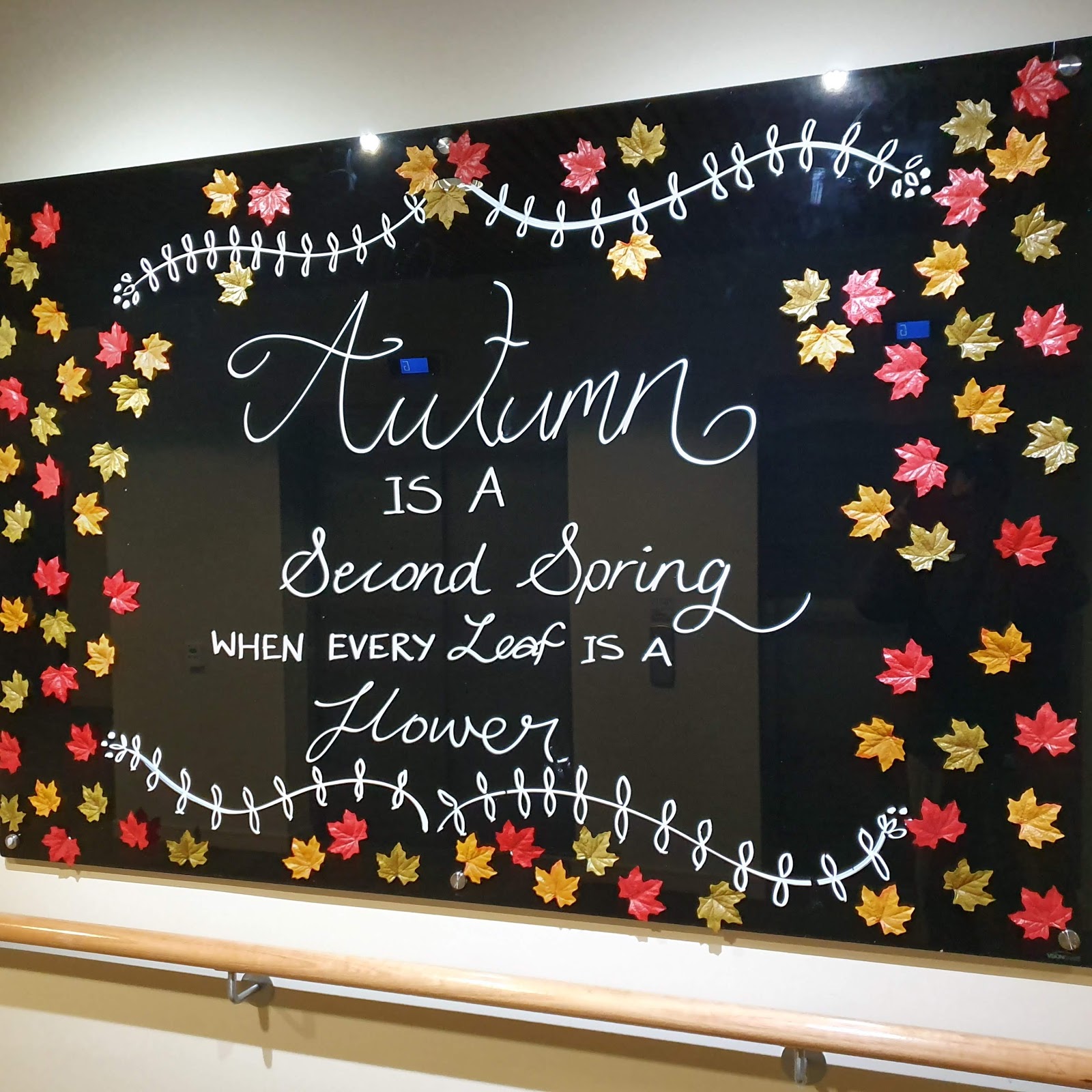 Havilah on Palmerston - Aged Care Home in Maryborough | Caring Co