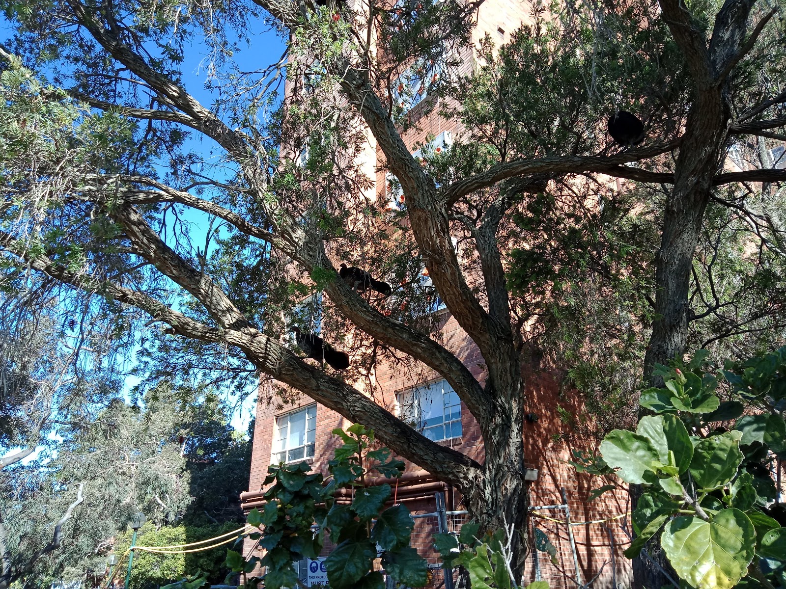 James Milson Village - Aged Care Home in North Sydney | Caring Co
