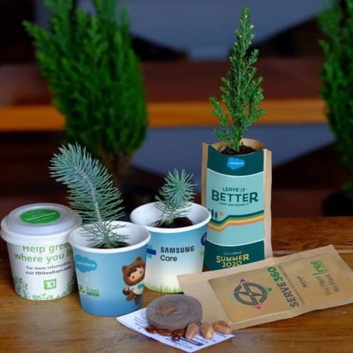 environment gift ideas