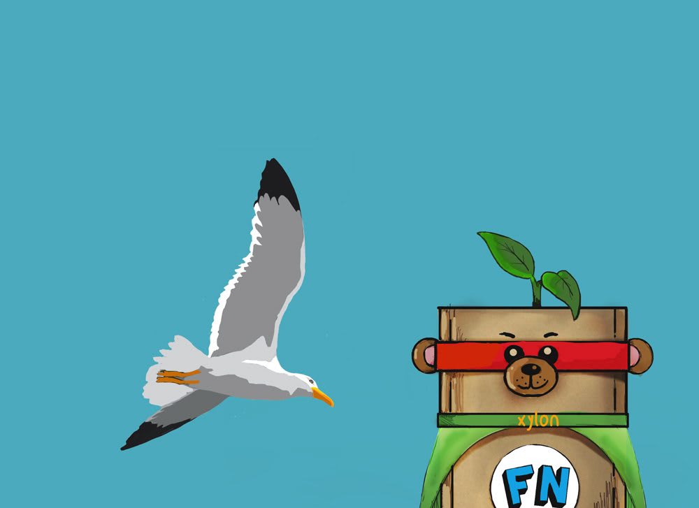 Xylon - ForestNation