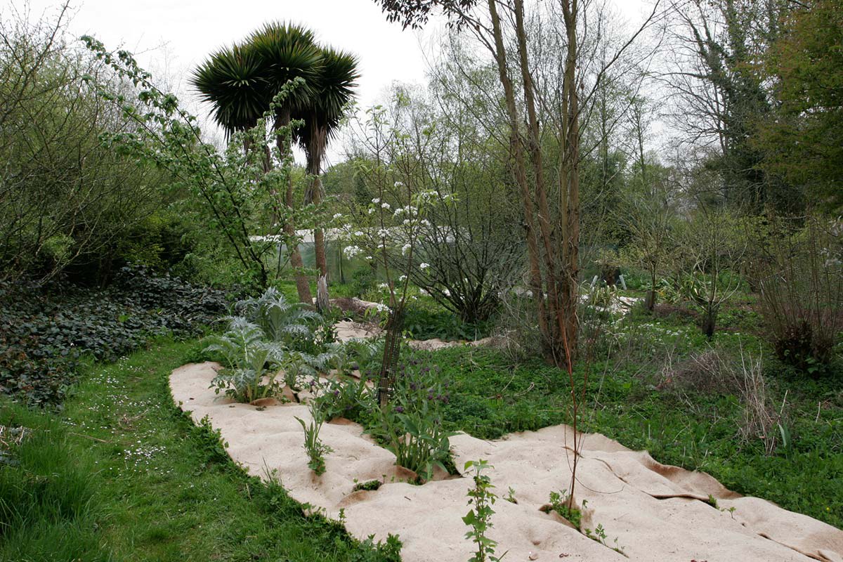 Forest Gardens are Key to a Sustainable Future