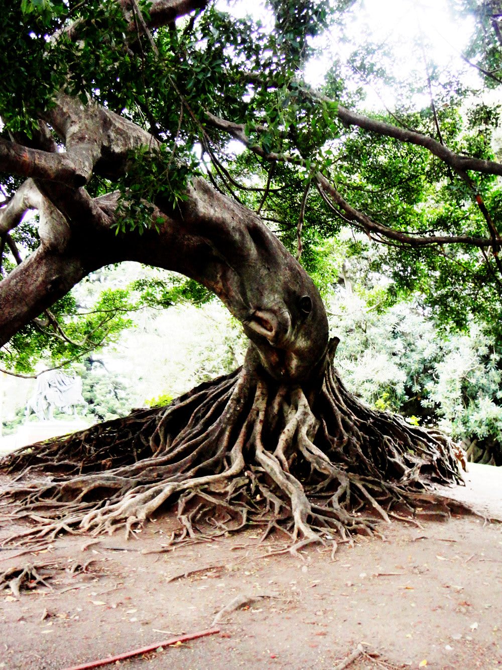 Sarmiento's Green Ideal: Don't Be Barbarians, Plant Trees