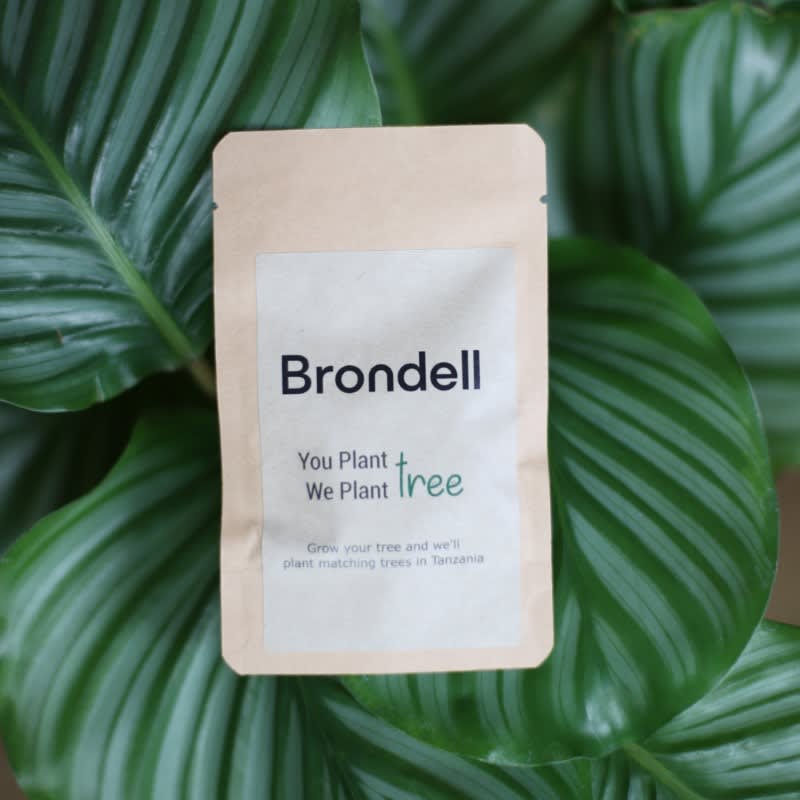 Brondell - ForestNation