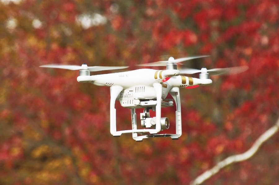 New Drone Plants 100,000 Trees a Day