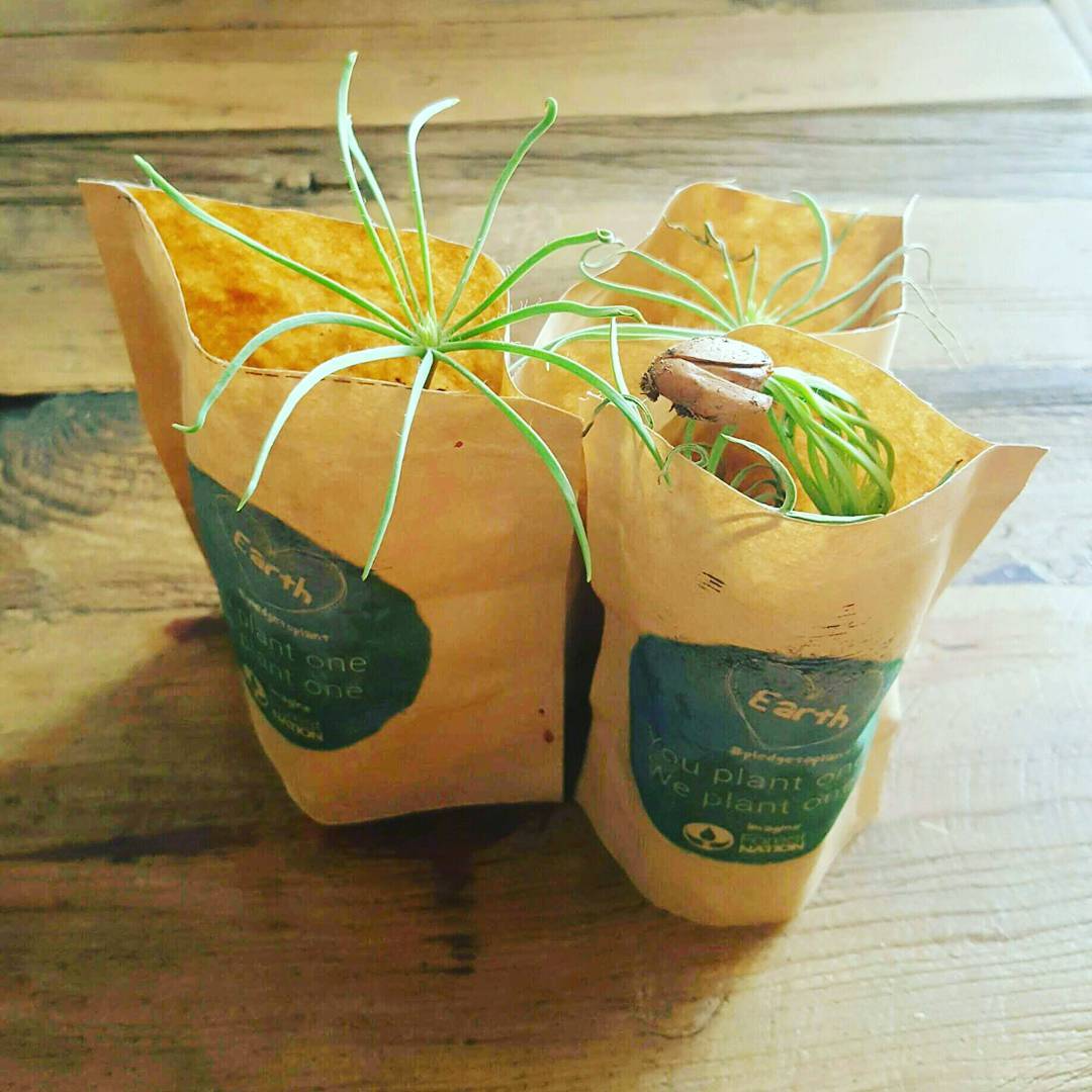Upcoming: Biodegradable Tree Kits - Earth-Friendly Habits