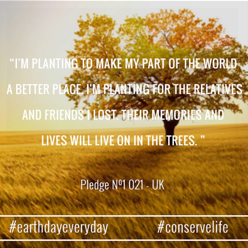 Make the World Better: Pledge to Plant #EarthDayEveryday