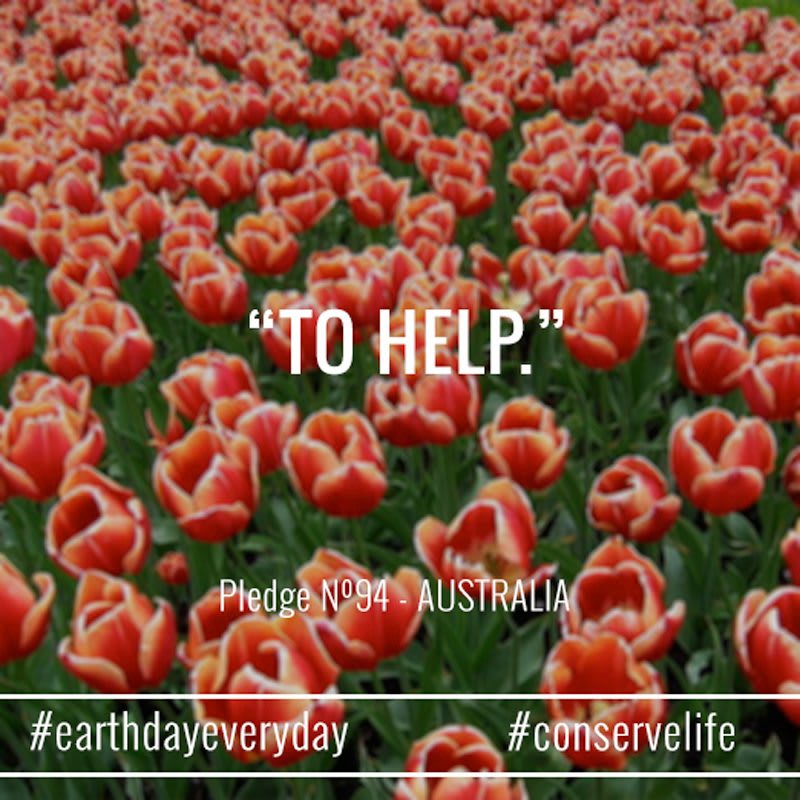 Pledge "To Help" Australia