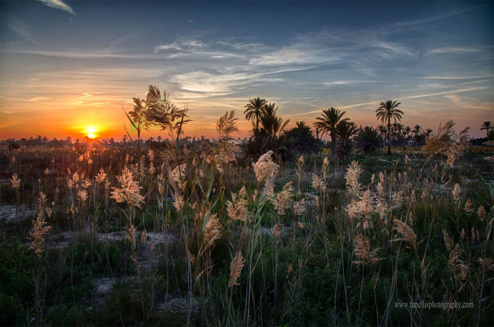 Feel the Rhythm with Aaron Ableman's ForestNation Music