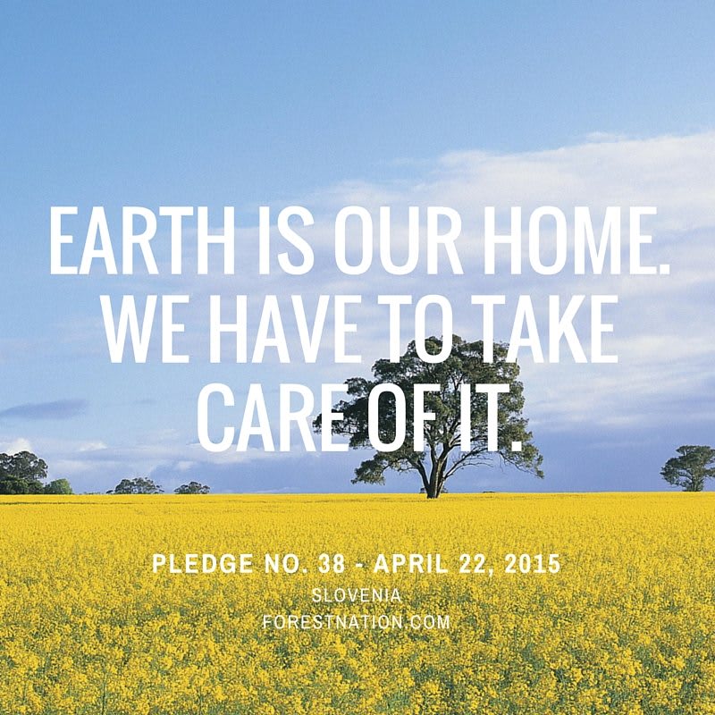 Earth is our home - ForestNation