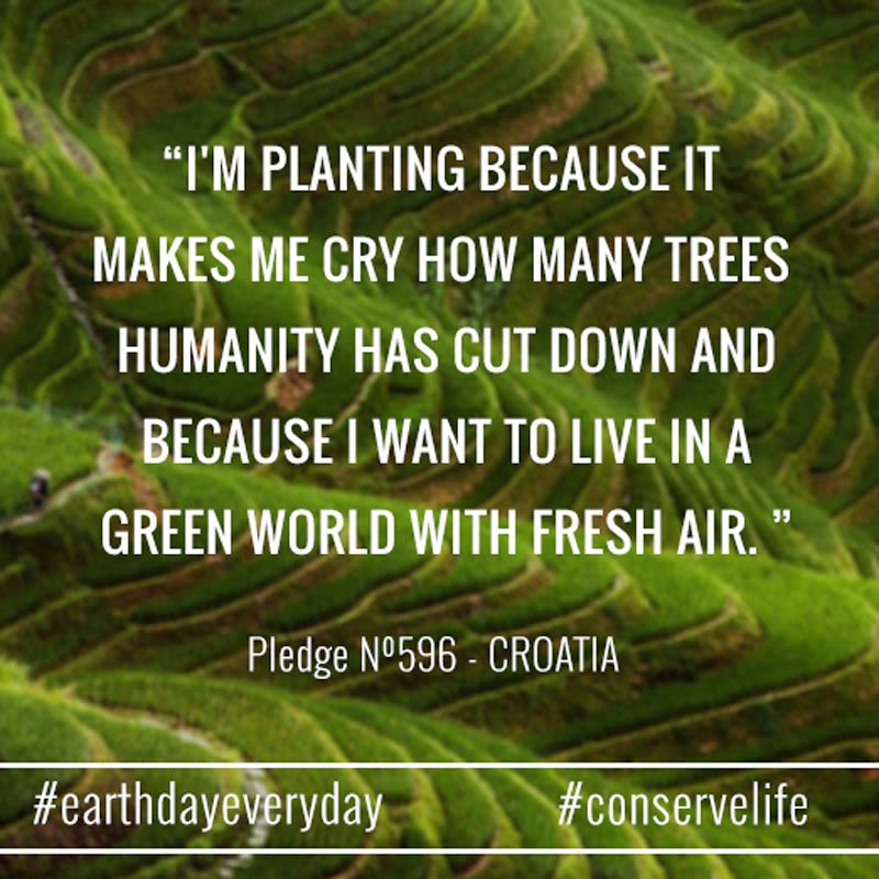 Join Pledge 596 to Plant Trees for a Greener Croatia