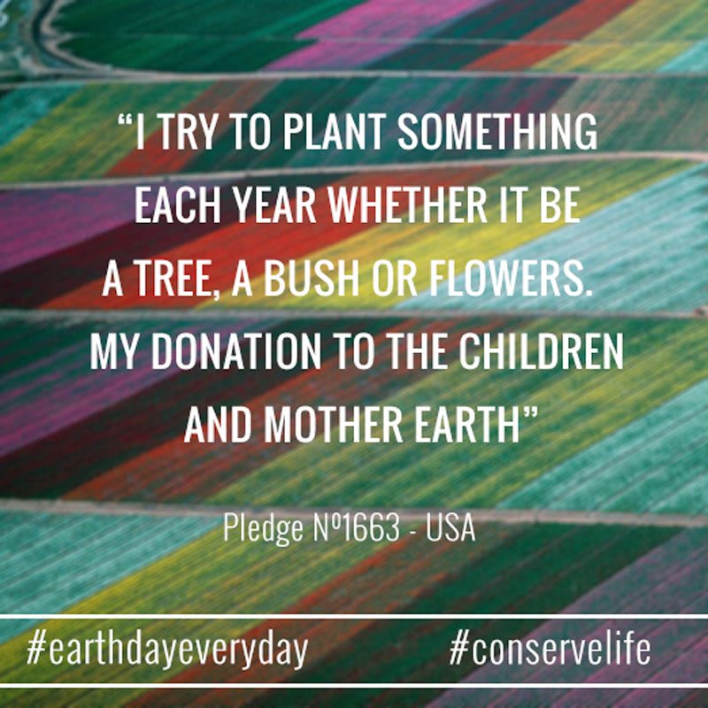 Yearly Planting: My Earthday Dedication to Children & Mother Earth