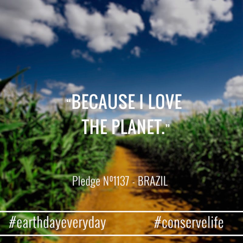 Because I love the planet