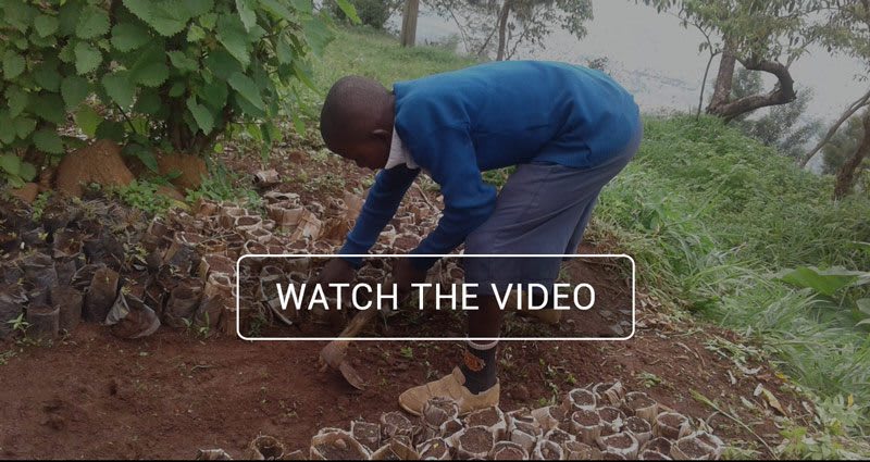 Video update in Tanzania with ForestNation