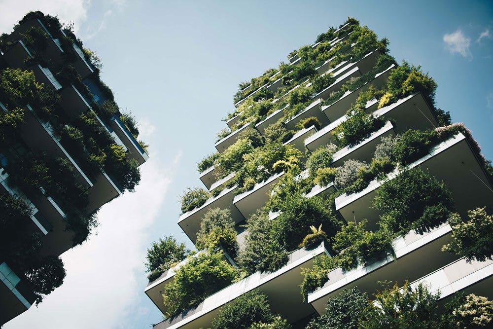 How You Can Reduce Urban Carbon Emissions