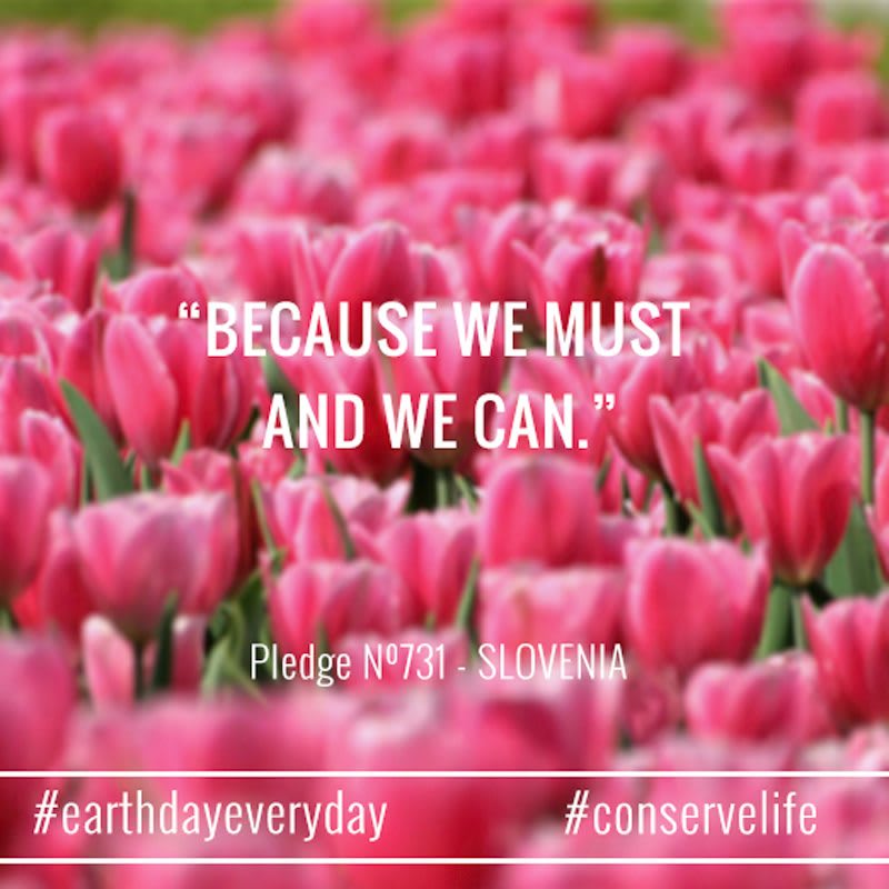 Because we must and we can