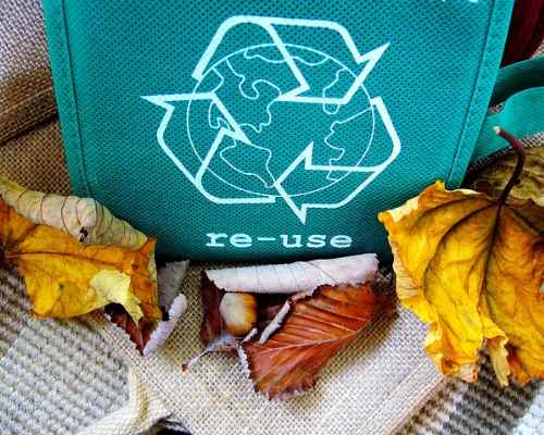 4 Grand Ideas to Recycle Waste - ForestNation