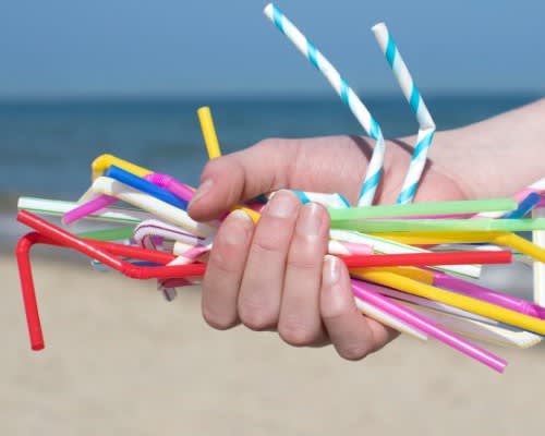 Say No to Plastic Straws - ForestNation