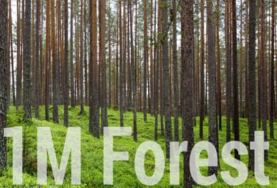 1 Million Tree Forest
