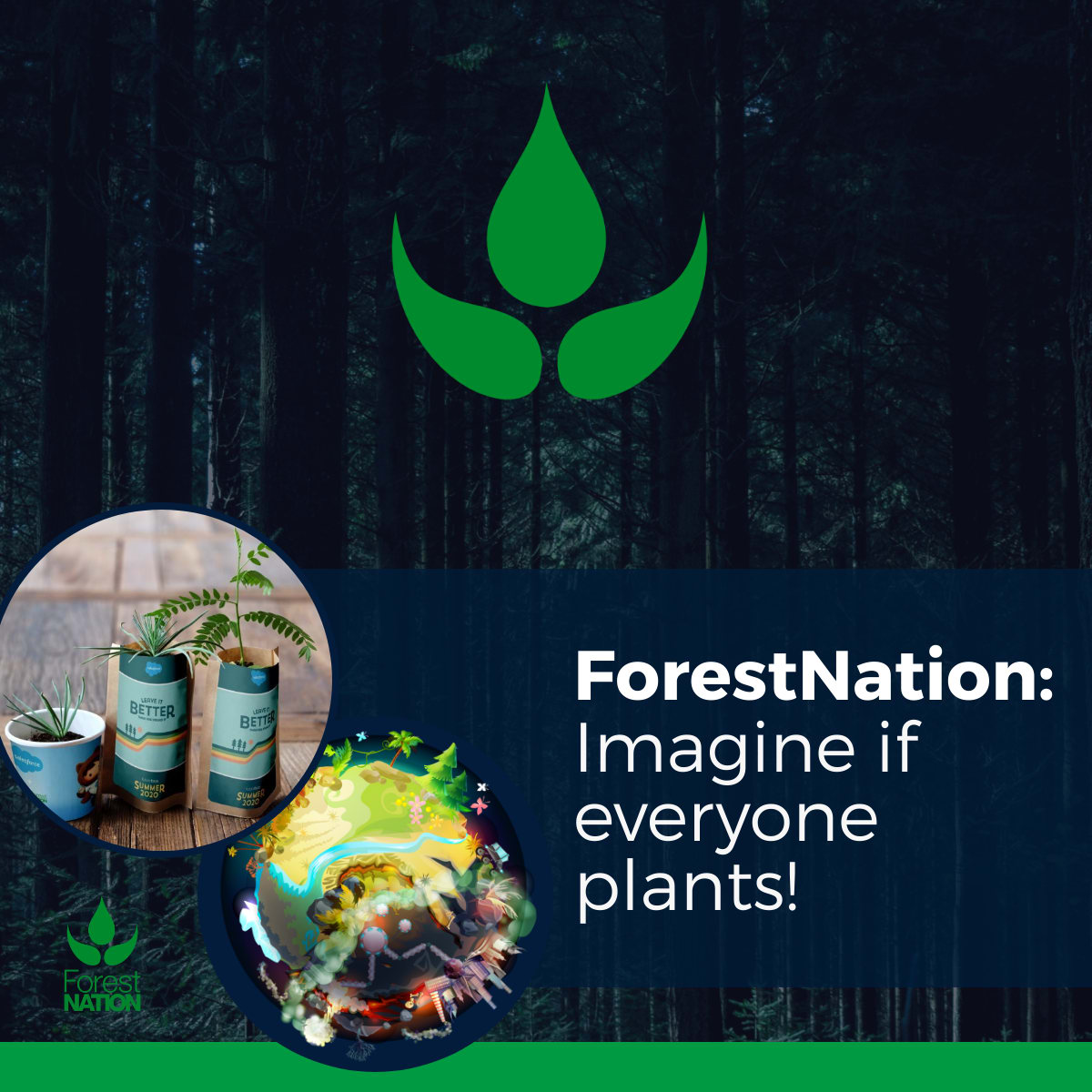 Inspiring Gift Stories: Eco-Friendly Presents with ForestNation