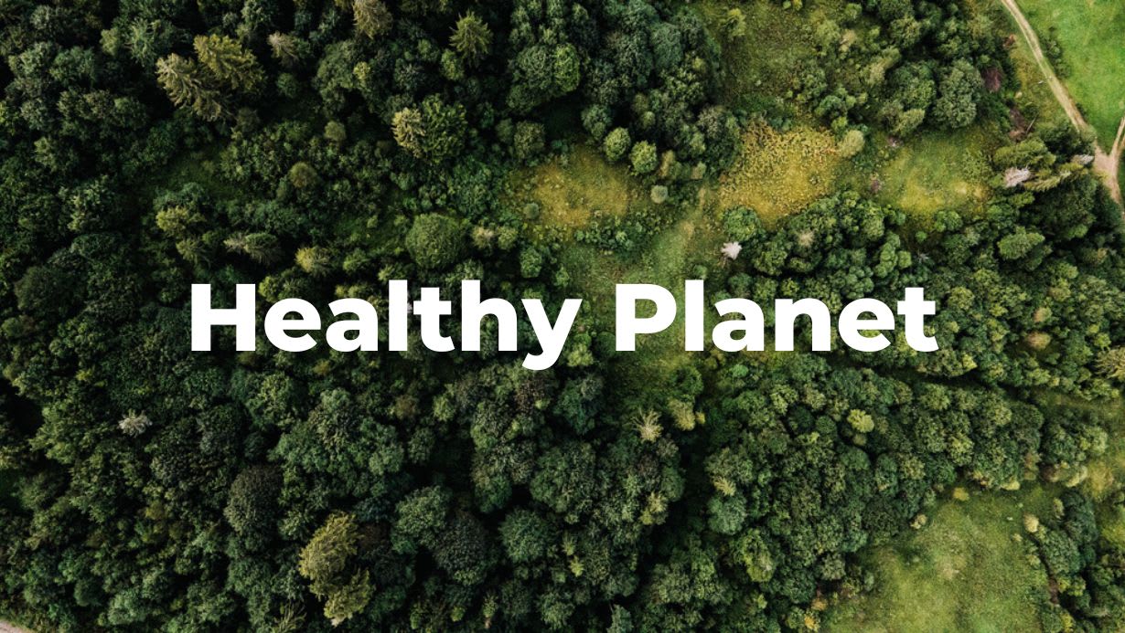 Nurturing a Healthy Planet: The Role of Businesses