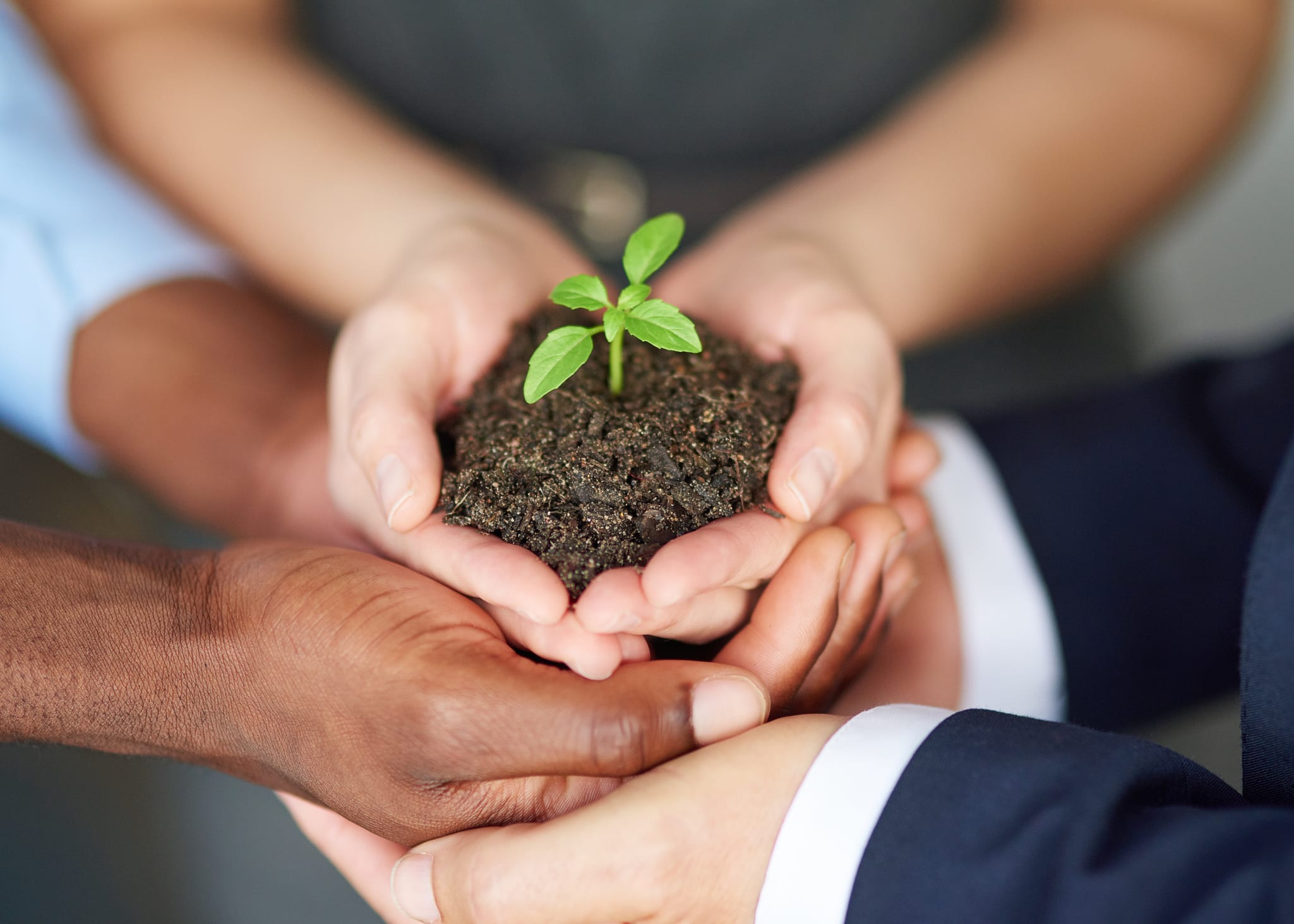 Nurturing Leads: Unconventional Ways for Sustainable Growth