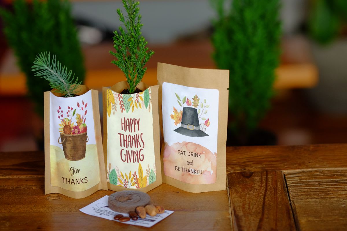 Why Trees Are the Best Thanksgiving Gifts