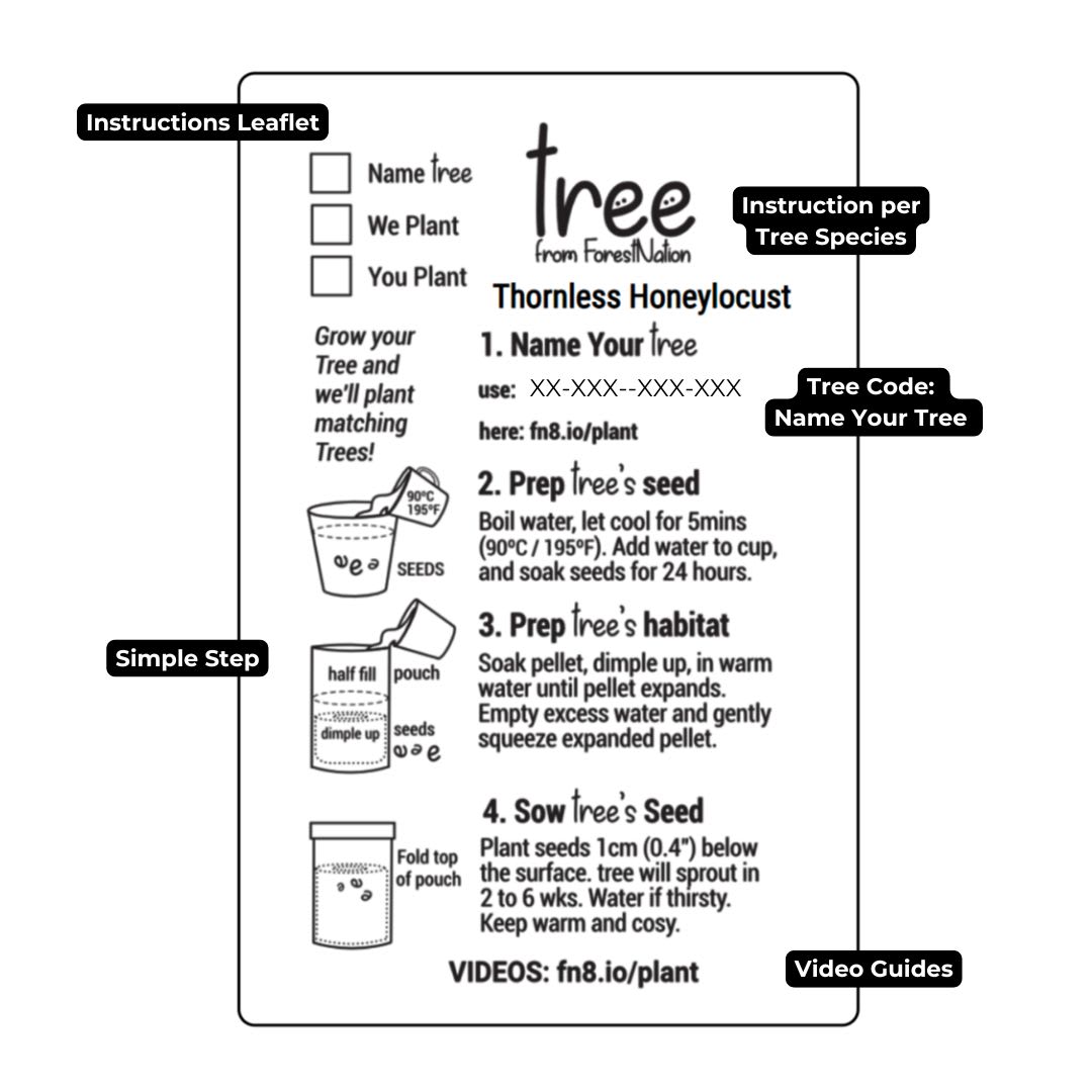 Forest Ambassador Tree Cup, We Plant 200 More Trees