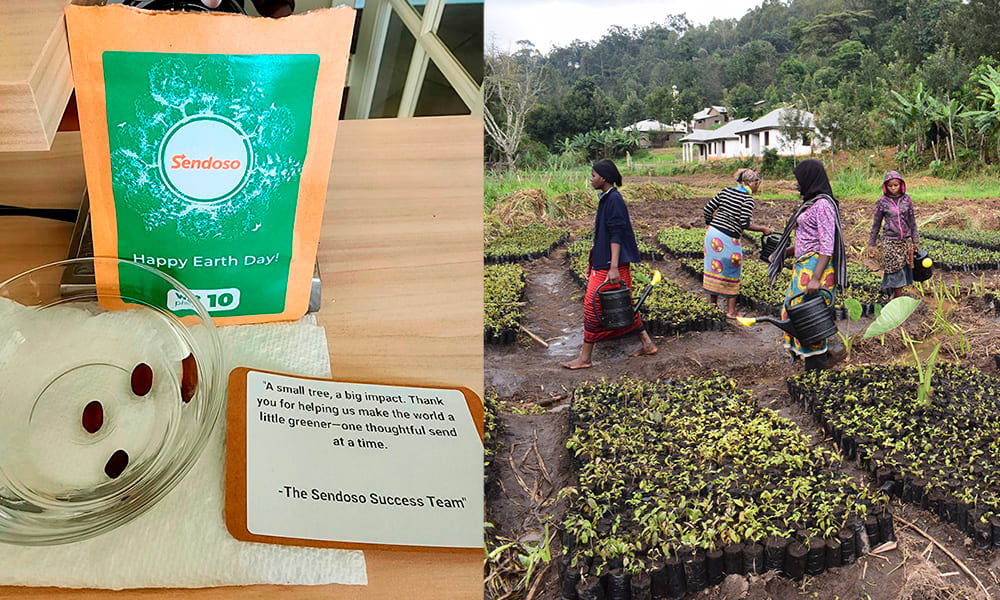 Cost Per Action Marketing: How Tree Gifts Reduce Customer Acquisition ...