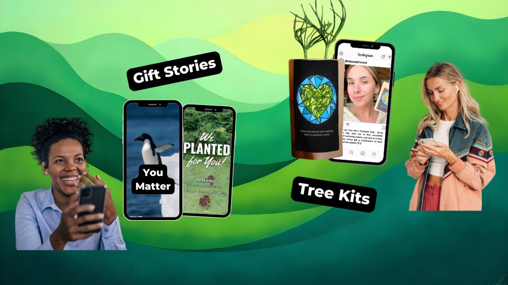 Tree Gifts for Employee Appreciation: Building Green Relationships That ...