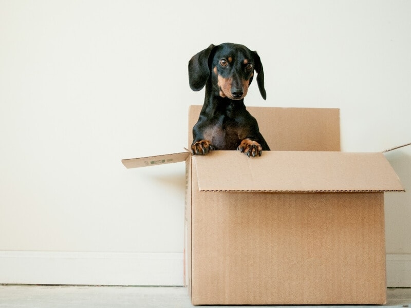 5 Eco-Friendly Moving Hacks That Will Green Your Move