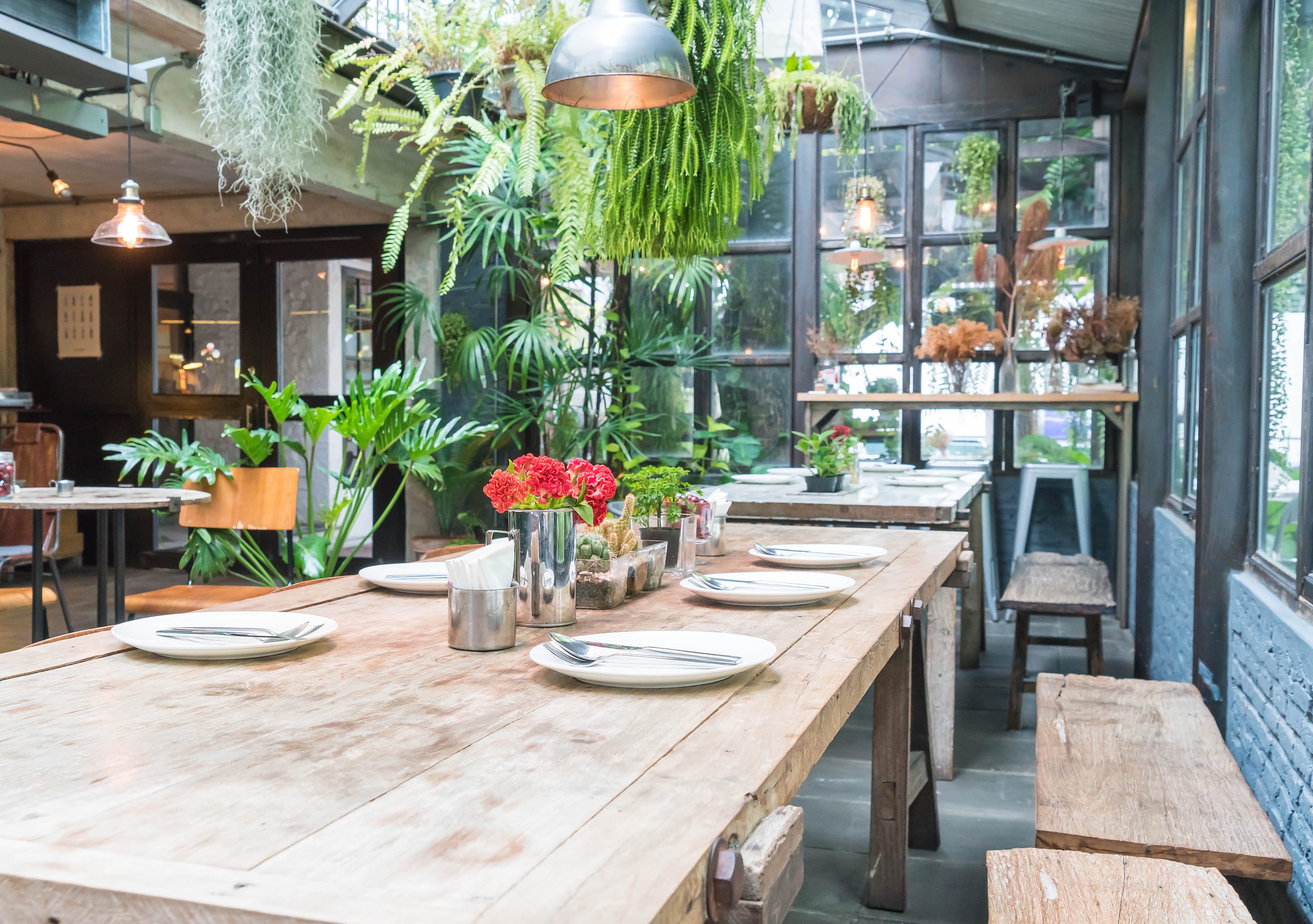The Benefits of an Eco-Friendly Restaurant: Why Go Green