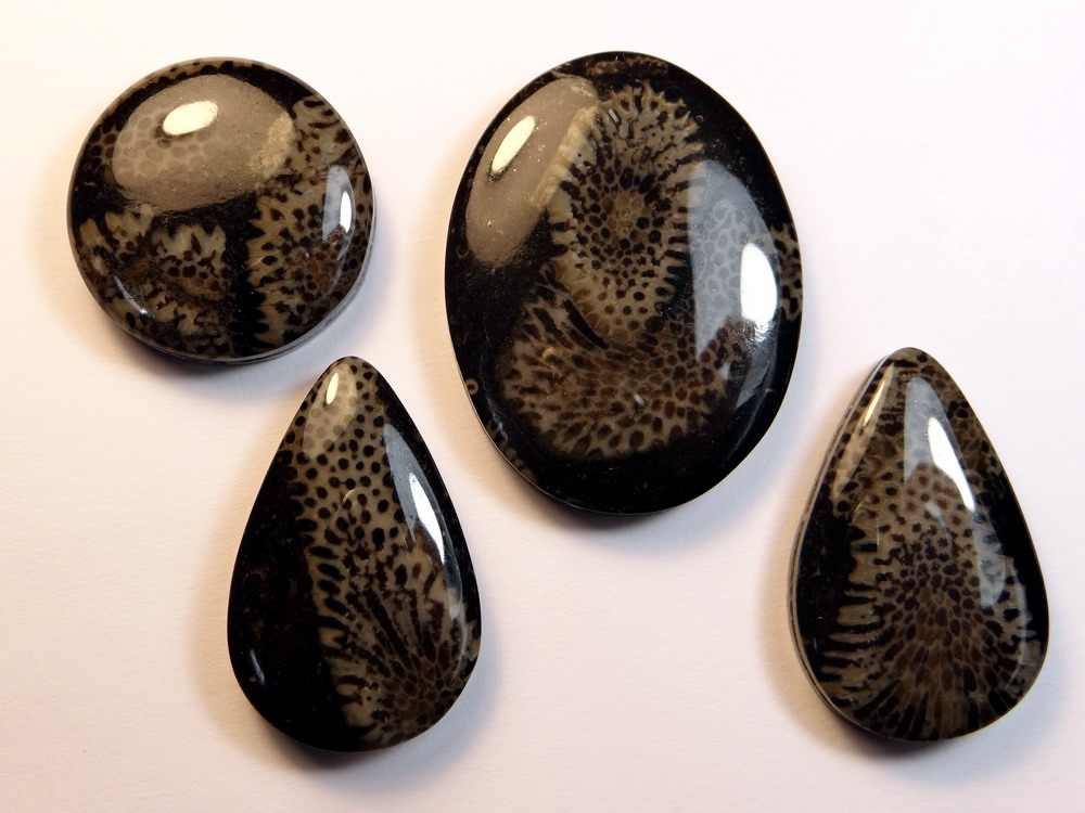 Lake Huron Cladopora fossil cabs | Rock Tumbling Hobby