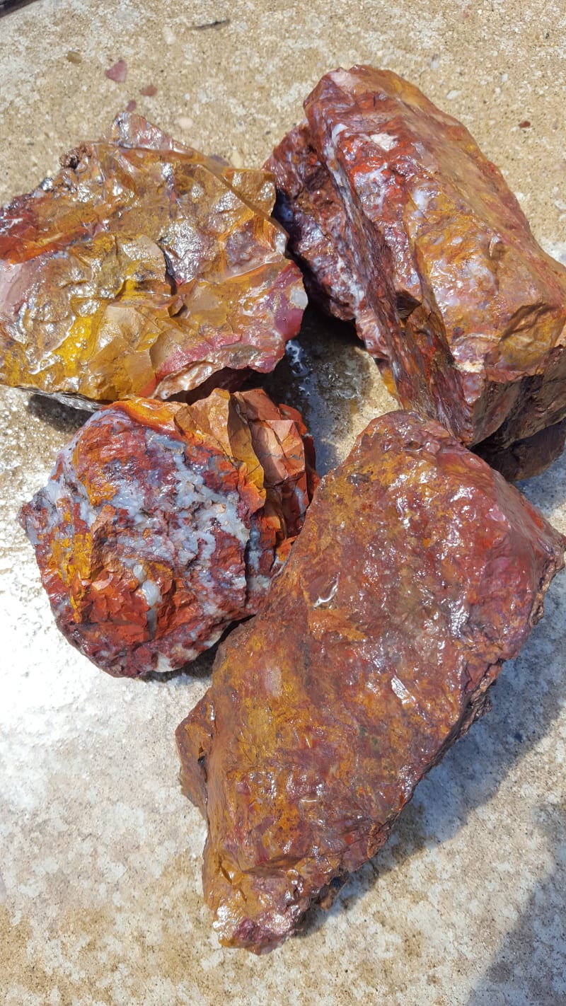 Holt Canyon agate (SOLD) | Rock Tumbling Hobby