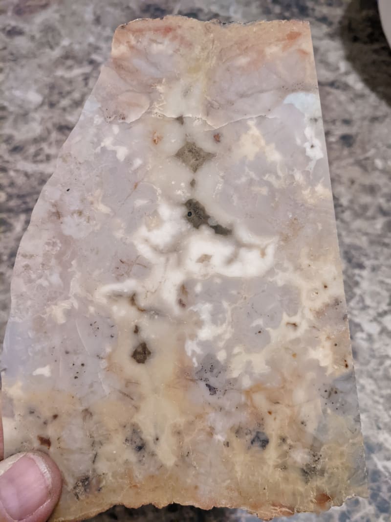 COPROLITE | Rock Tumbling Hobby