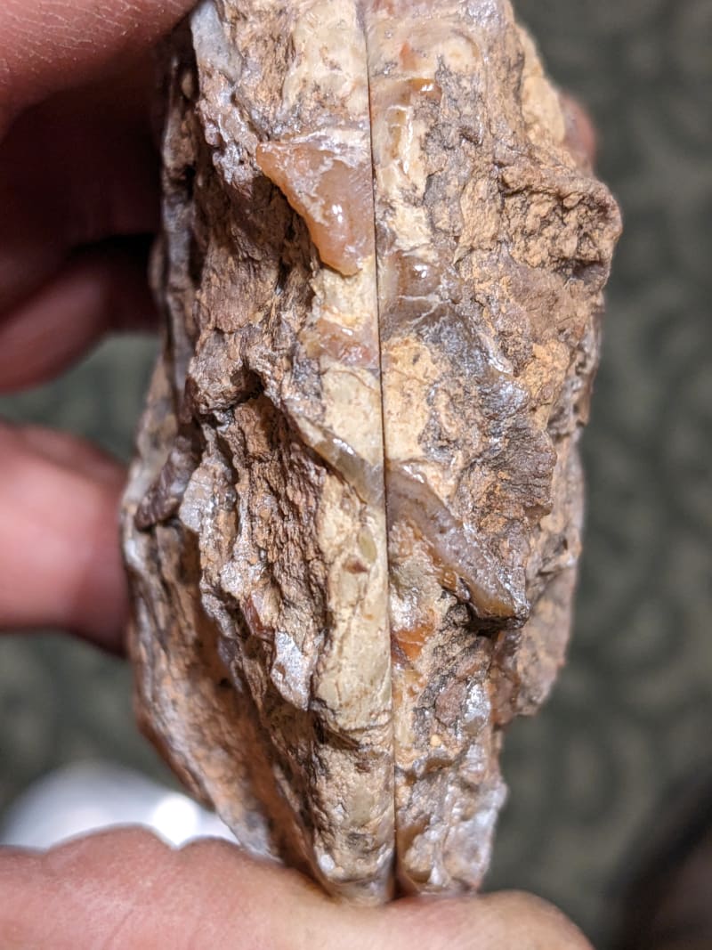 COPROLITE | Rock Tumbling Hobby