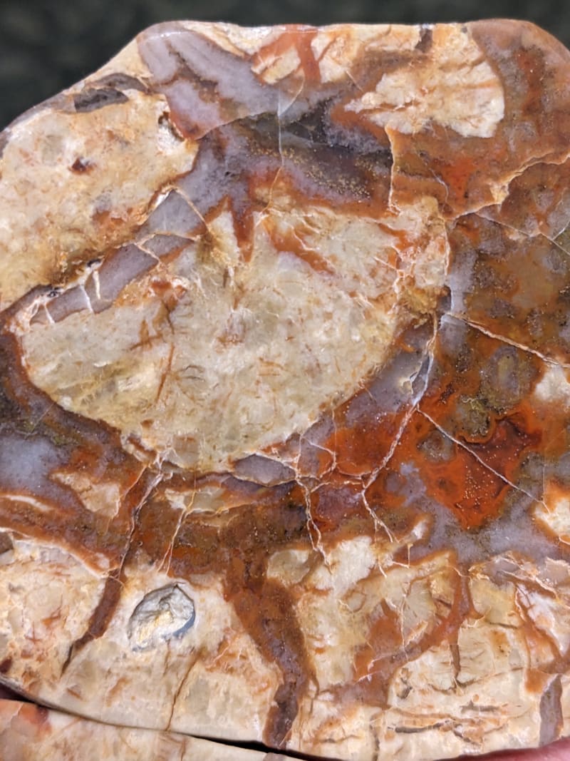 COPROLITE | Rock Tumbling Hobby