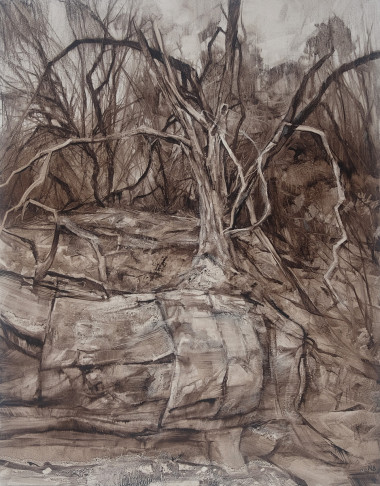 bone tree - Nicholas Blowers - Nanda\Hobbs Contemporary}