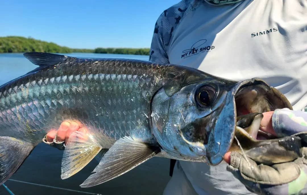 Playa Larga Cuba Fly Fishing | Fly Fish Playa Larga Cuba