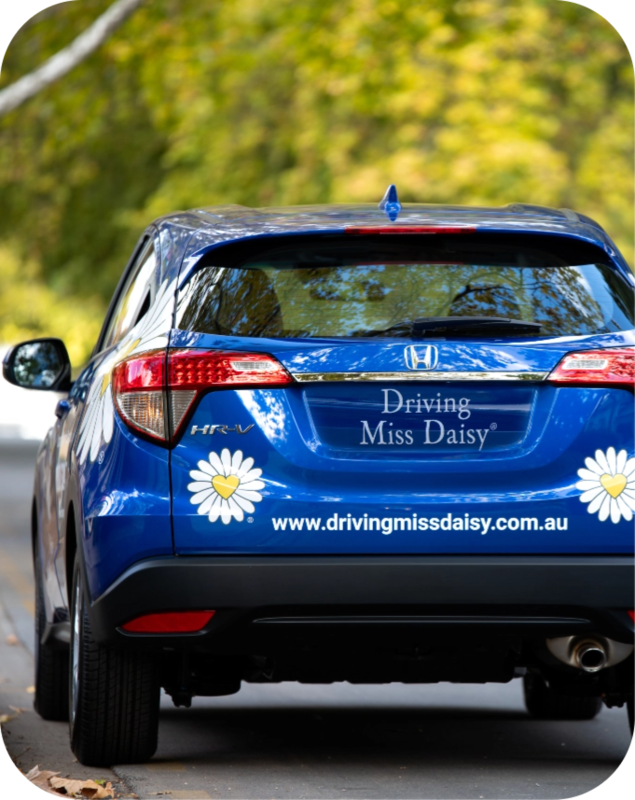 Client Stories | Driving Miss Daisy