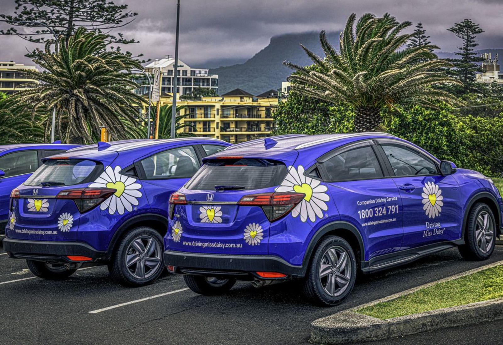 Client Stories | Driving Miss Daisy