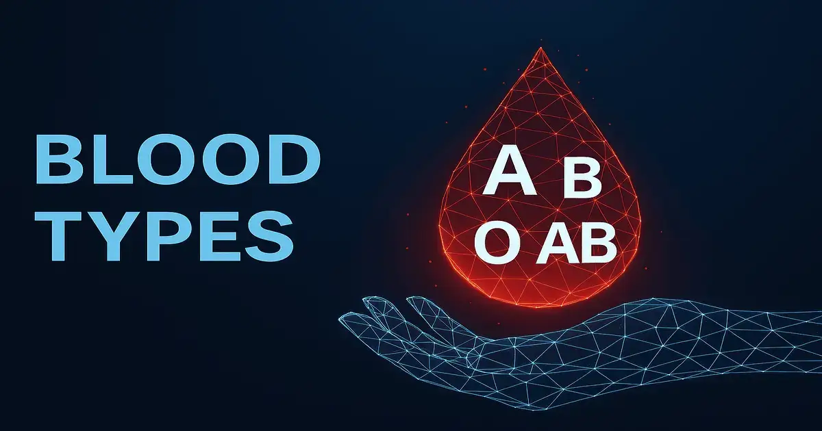 Blood Types Explained