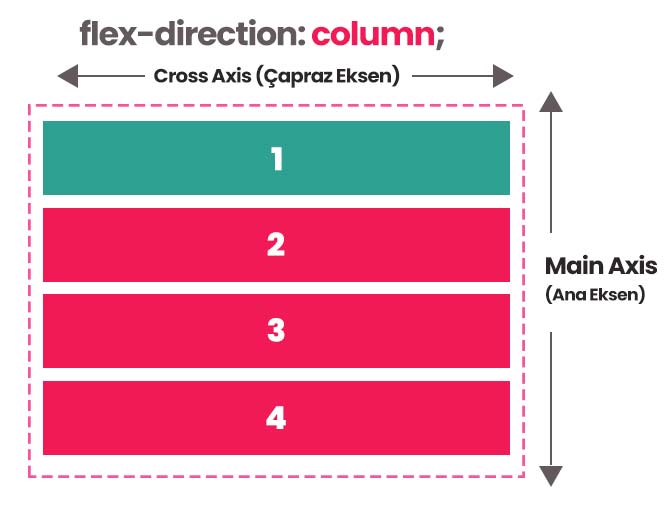 Flex Direction CSS Özellikleri | Row , Row-Reverse, Column | Tercih Yazılım