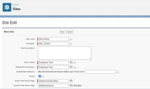Salesforce Sites: How to Set Up Salesforce Sites?