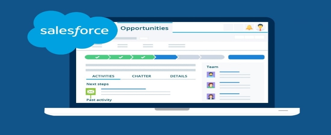 Salesforce Opportunity Line Items based on Product Family