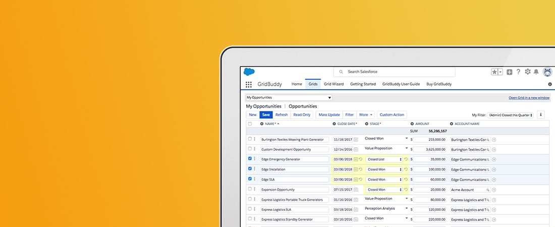 GridBuddy Salesforce: Updating data in Salesforce fast and easy