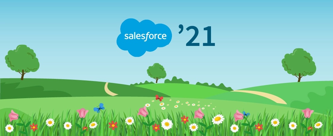 Salesforce Spring 2021 Release Notes - HIC Global Solutions