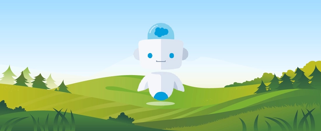 Steps To Enhancing Salesforce Einstein Chatbot With Rest Callouts