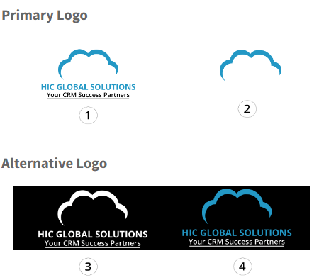 Brand Guide | HIC Global Solutions