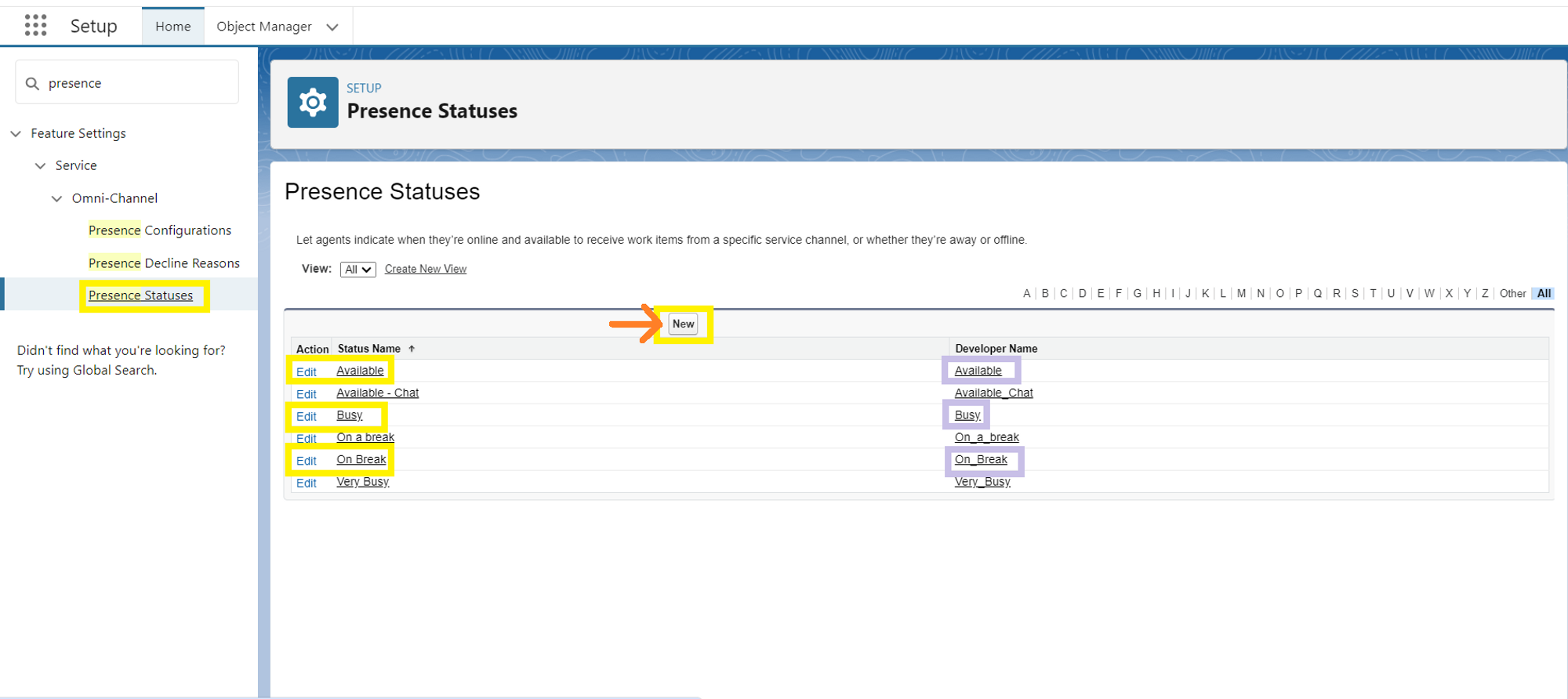 How to Set up And Leverage salesforce Omni-Channel In org